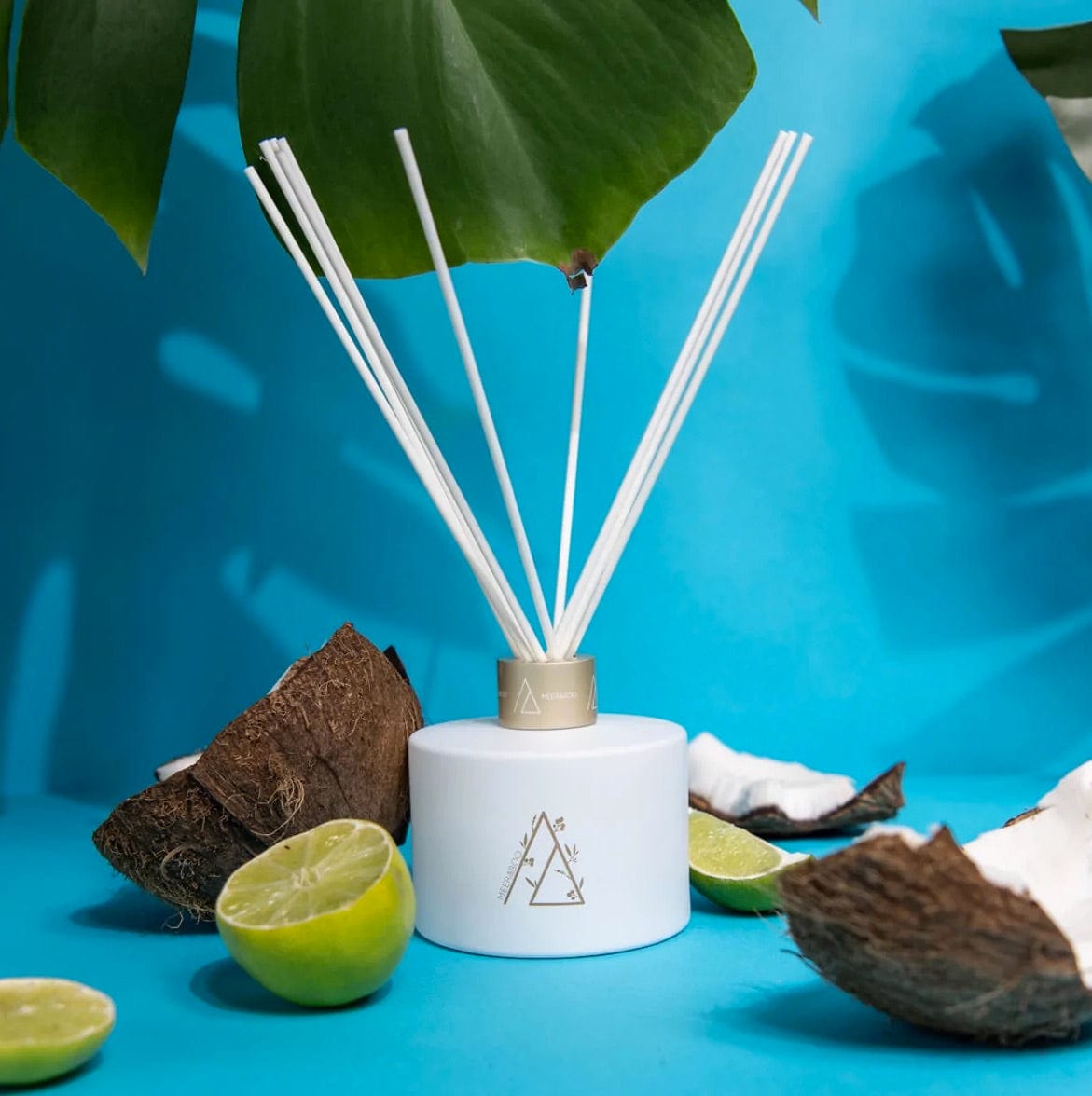Coconut and Lime Reed Diffuser | 200ml | Hali Home